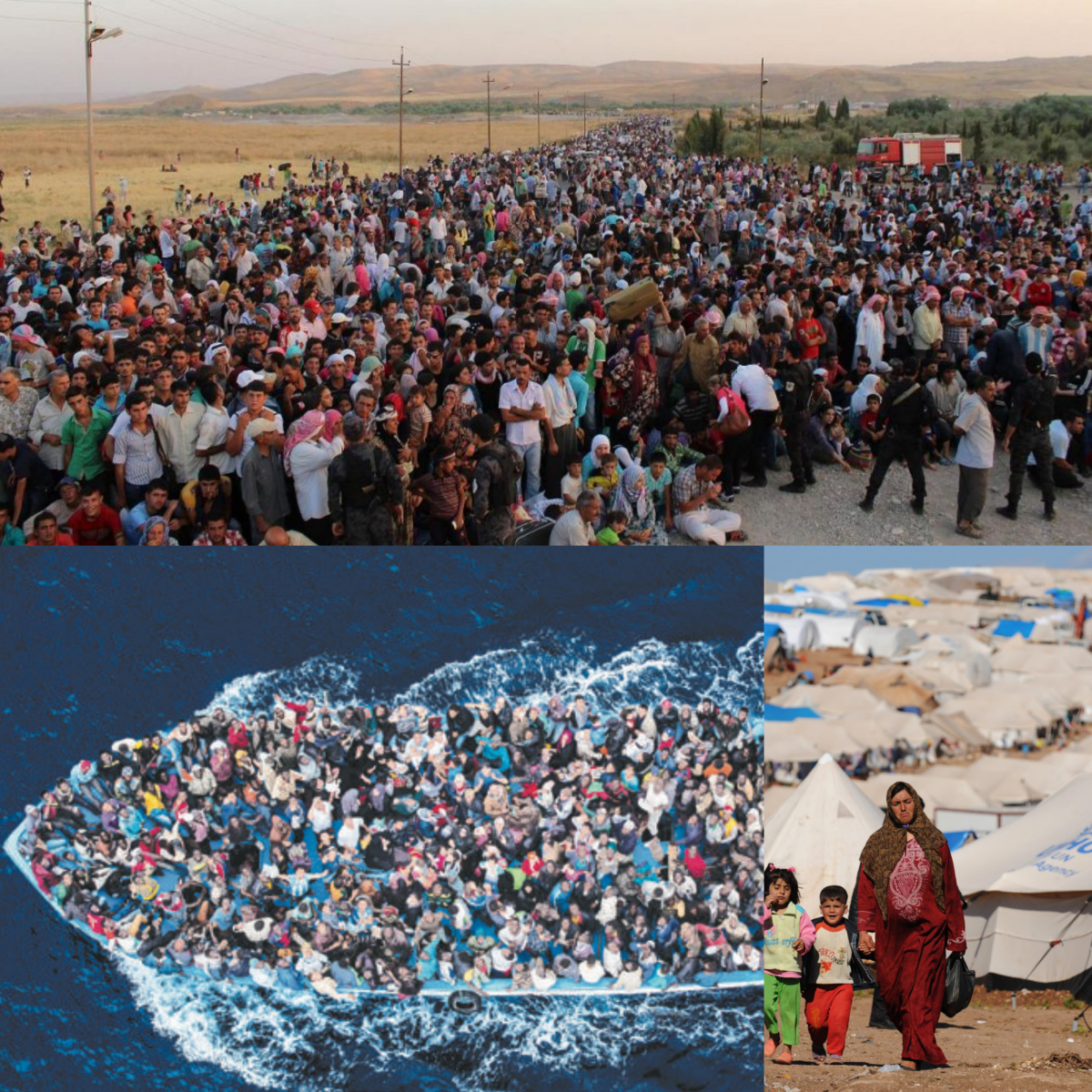 Call for papers on Asylum seekers and Refugees - WPA-TPS